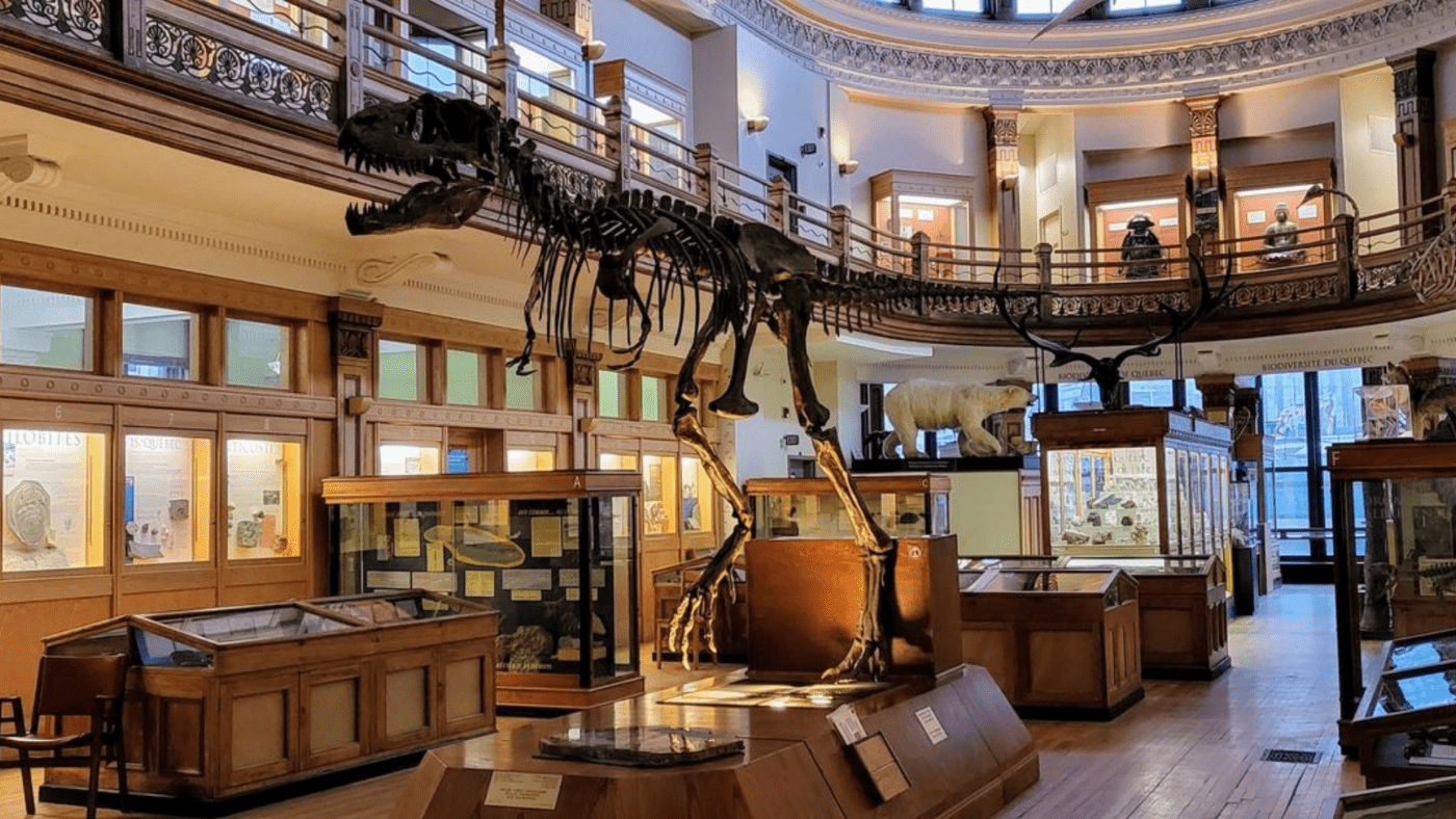 Carte interactive | Montréal centre-ville